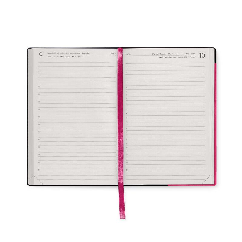 16-Month Medium Daily Diary - 2025/2026 RASPBERRY | Legami.com