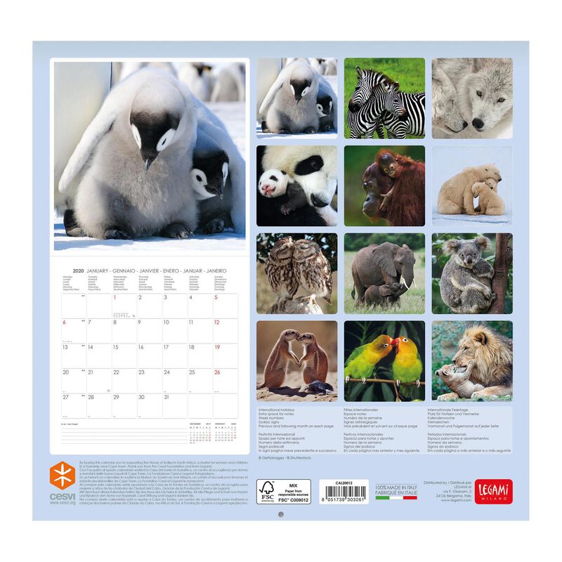 2020 - WALL CALENDAR - 30X29 cm HONEY BUNNY