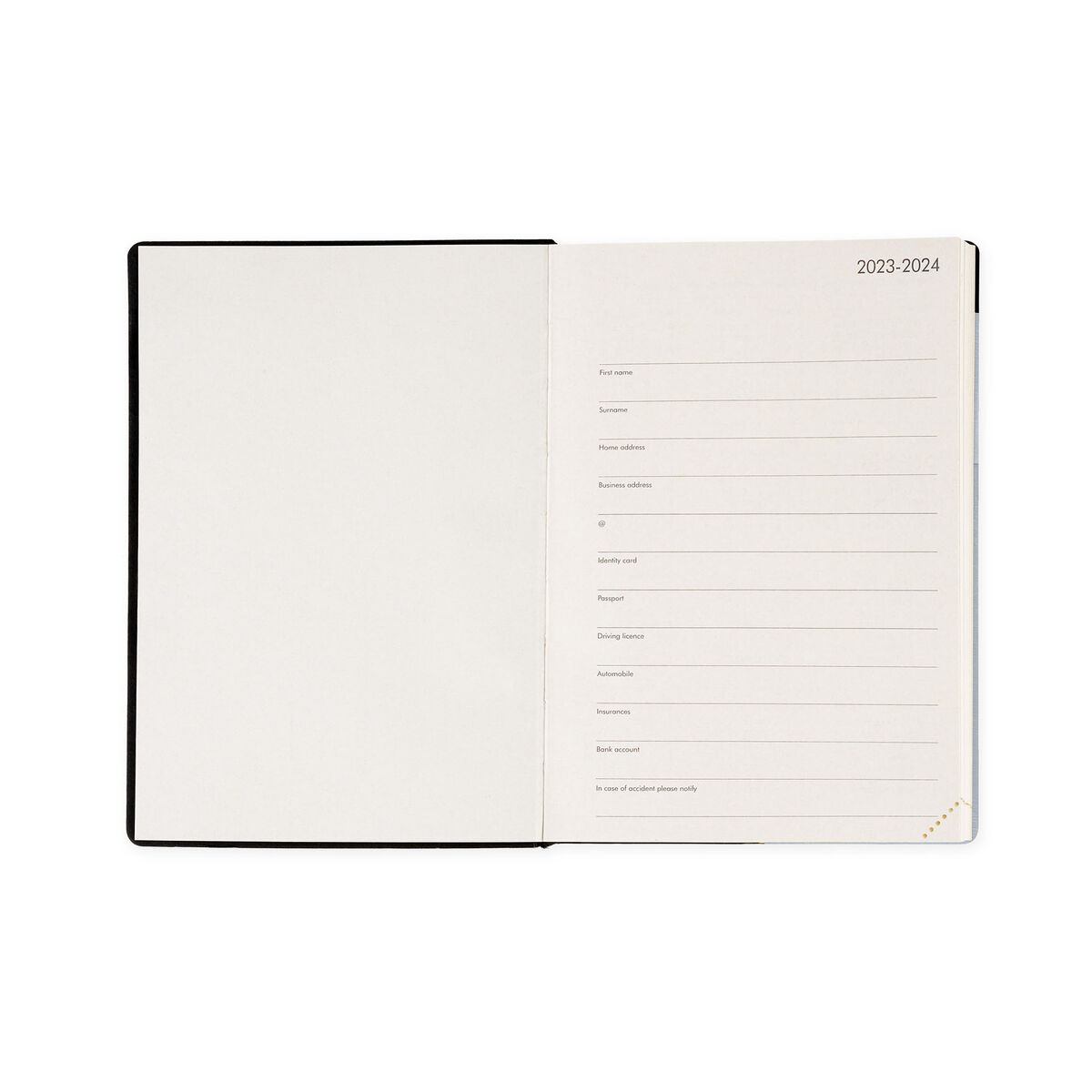 16-Month Daily Diary - Medium