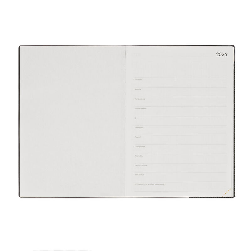 Terminplaner für 12 Monate - 1 Tag pro Seite - Large - 2026 DEEP ...