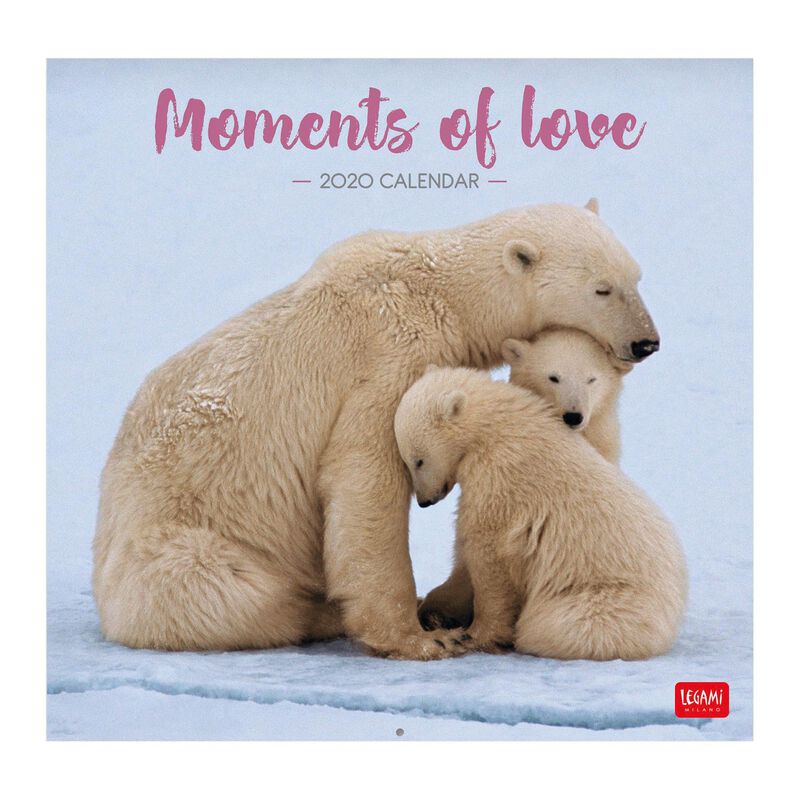 2020 - WALL CALENDAR - 30X29 cm HONEY BUNNY