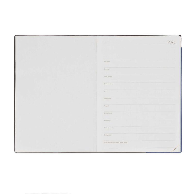 Terminplaner für 12 Monate - 1 Tag pro Seite - Large - 2025 BLUEBERRY ...