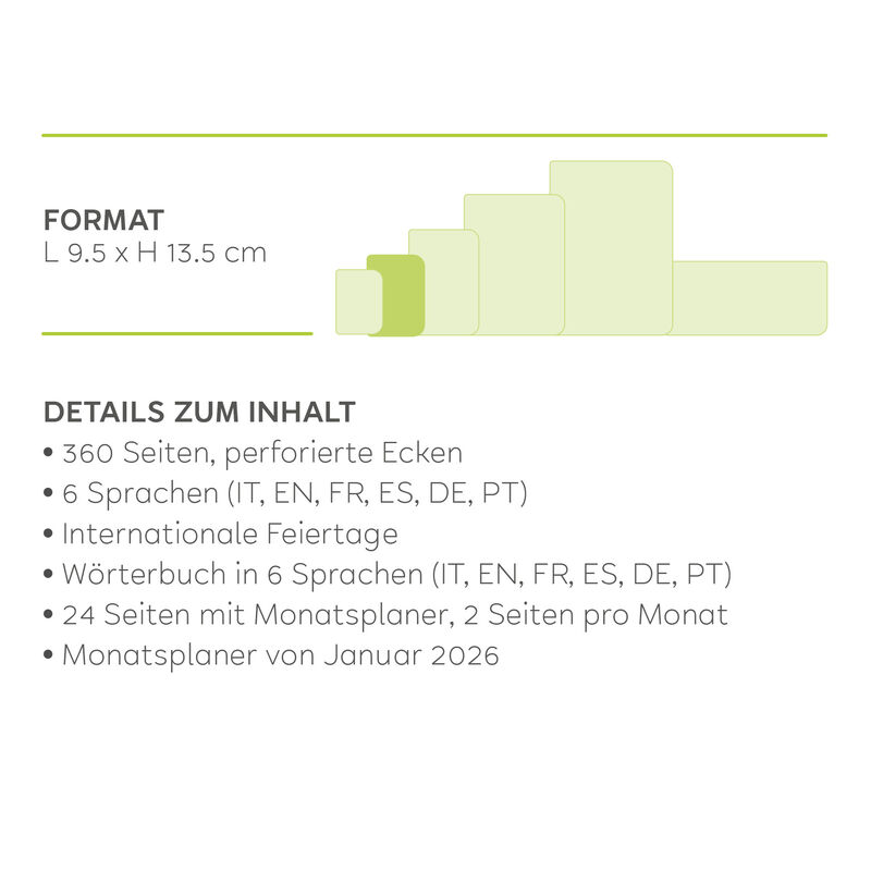 Terminplaner für 12 Monate - 1 Tag pro Seite - Small - 2025 KITTY ...