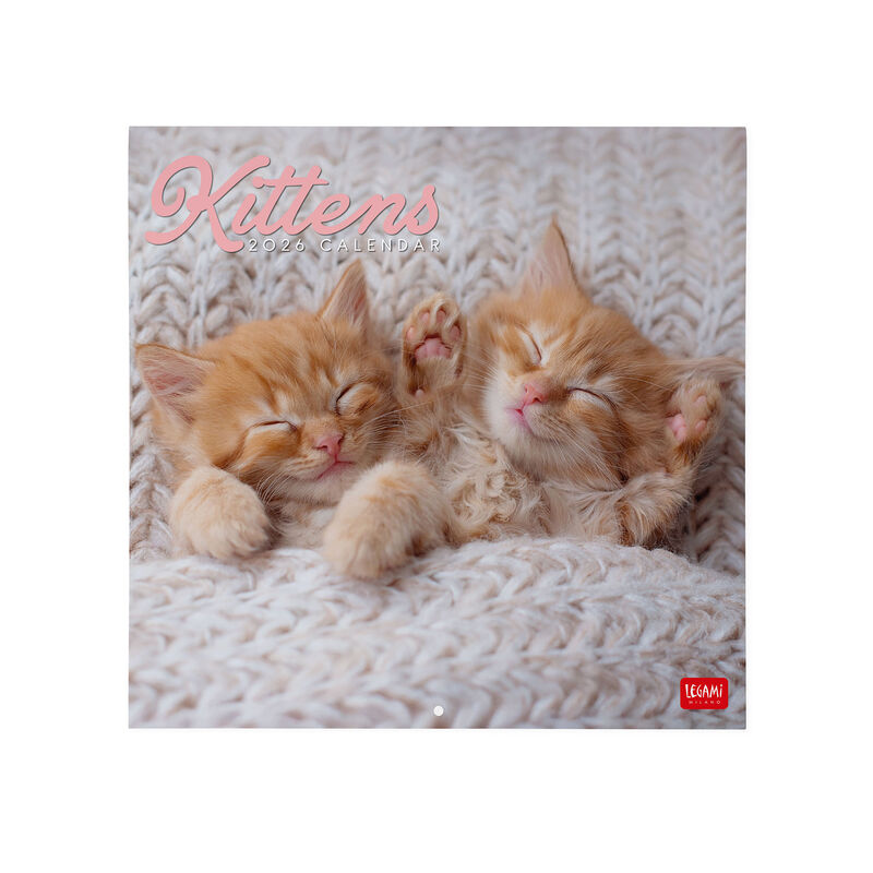 Calendario de Pared 2026 - 30 x 29 cm KITTENS | Legami.com
