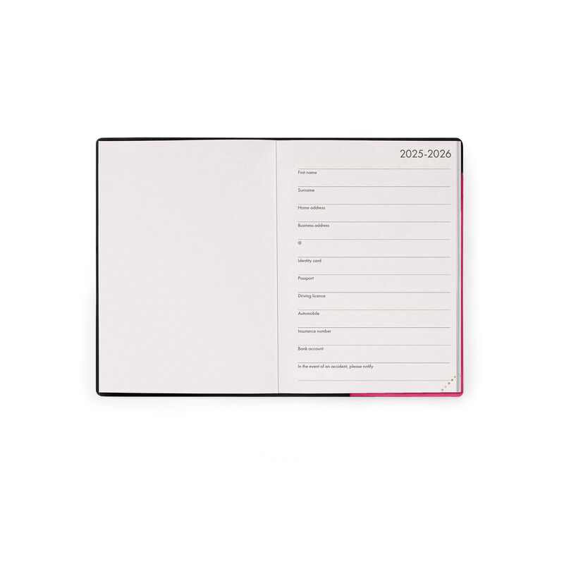Terminplaner für 12 Monate - 1 Tag pro Seite - Small - 2026 RASPBERRY ...